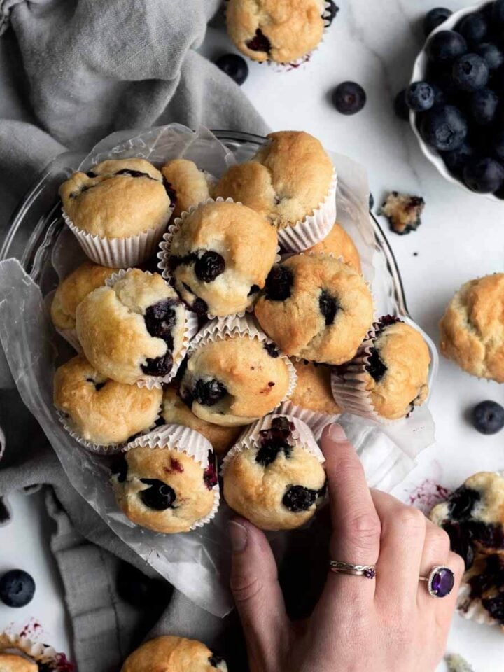 Birthday Muffins - Lane & Grey Fare