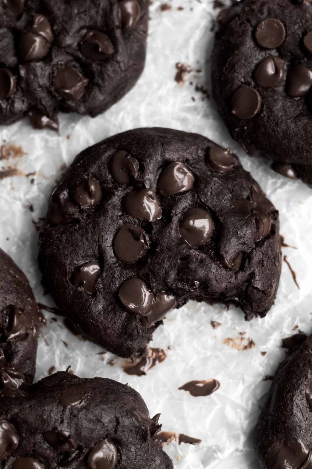 Olive Oil Cookies - Lane & Grey Fare