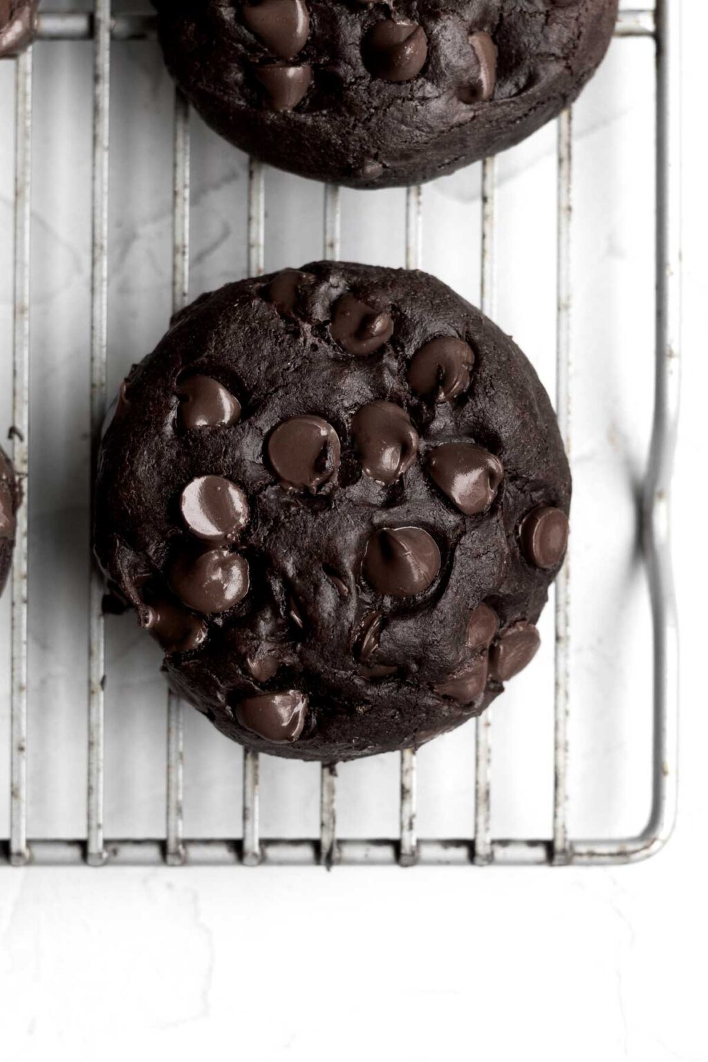 Olive Oil Cookies - Lane & Grey Fare