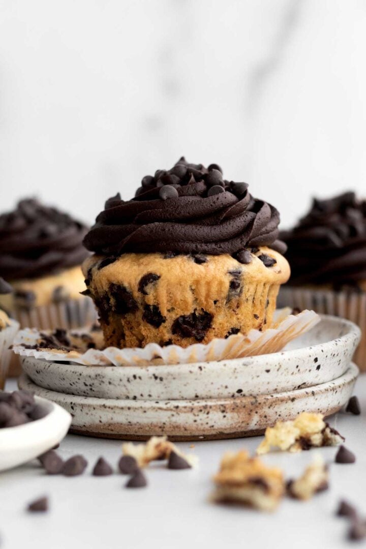 Chocolate Chip Cupcakes - Lane & Grey Fare
