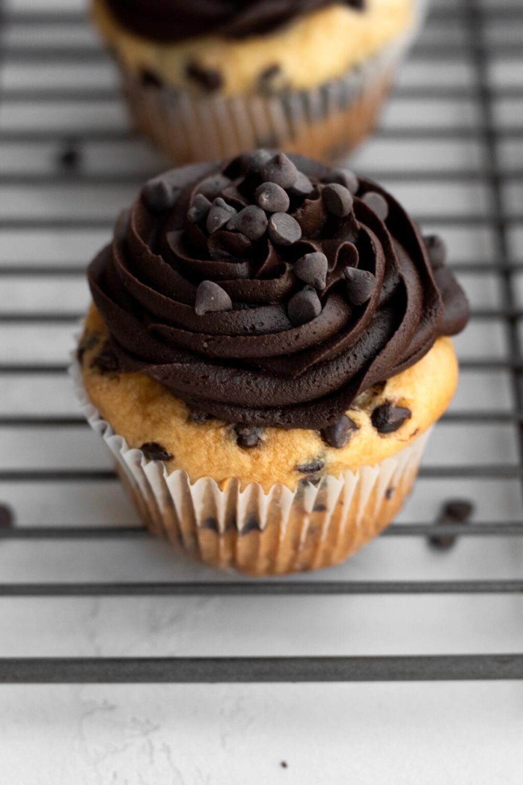 Chocolate Chip Cupcakes - Lane & Grey Fare